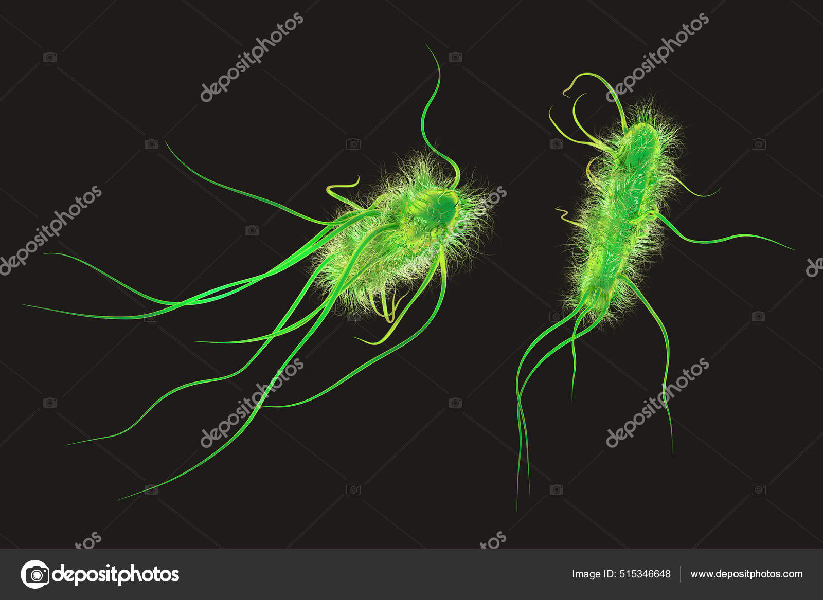 Escherichia Coli Bacteria Ilustración Coli Una Bacteria Móvil Forma ...