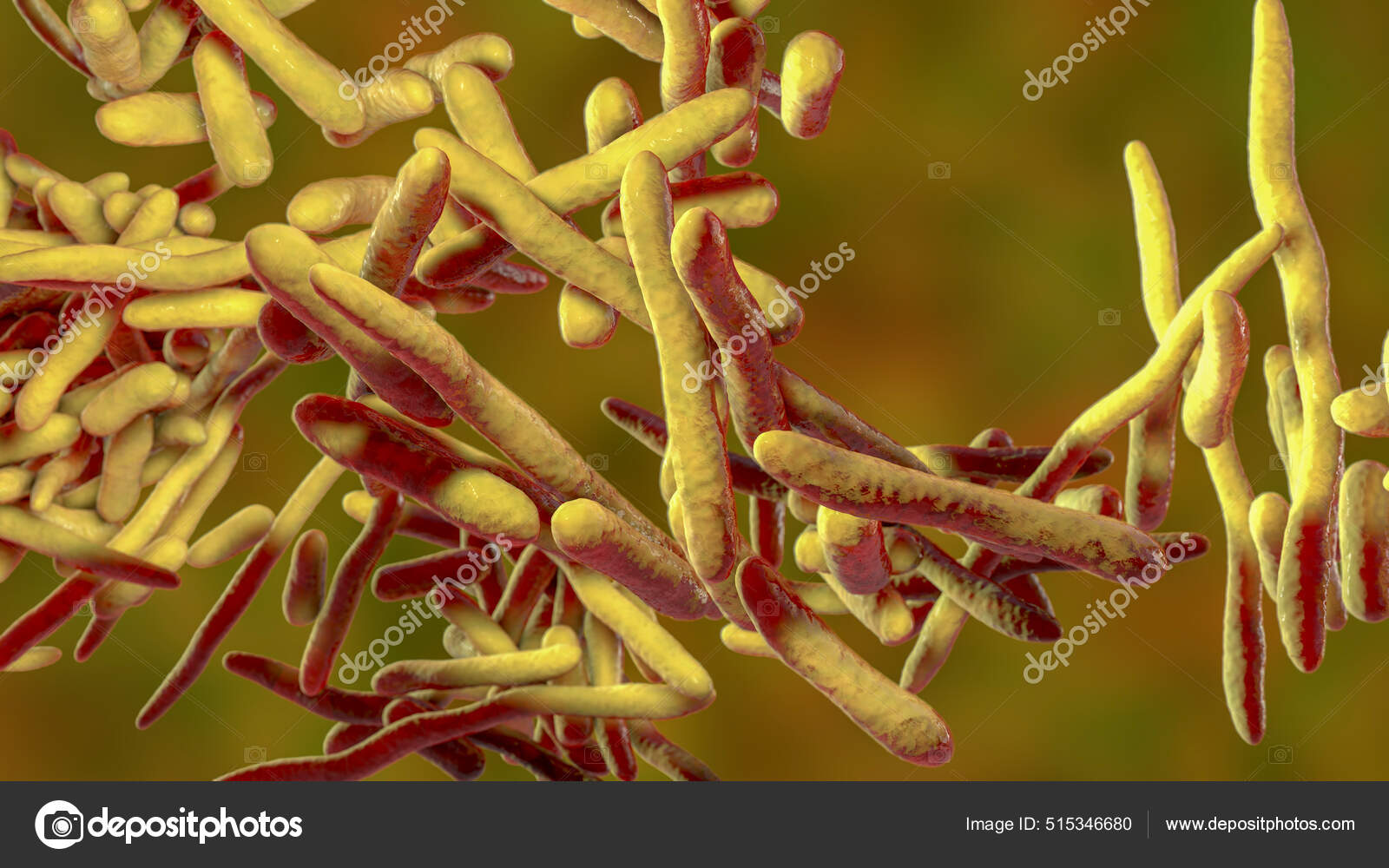 Erysipelothrix Bacteria Illustration Species Pleomorphic Rod Shaped ...