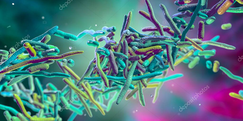 Erysipelothrix bacteria, ilustración 3D. Una especie de bacteria ...