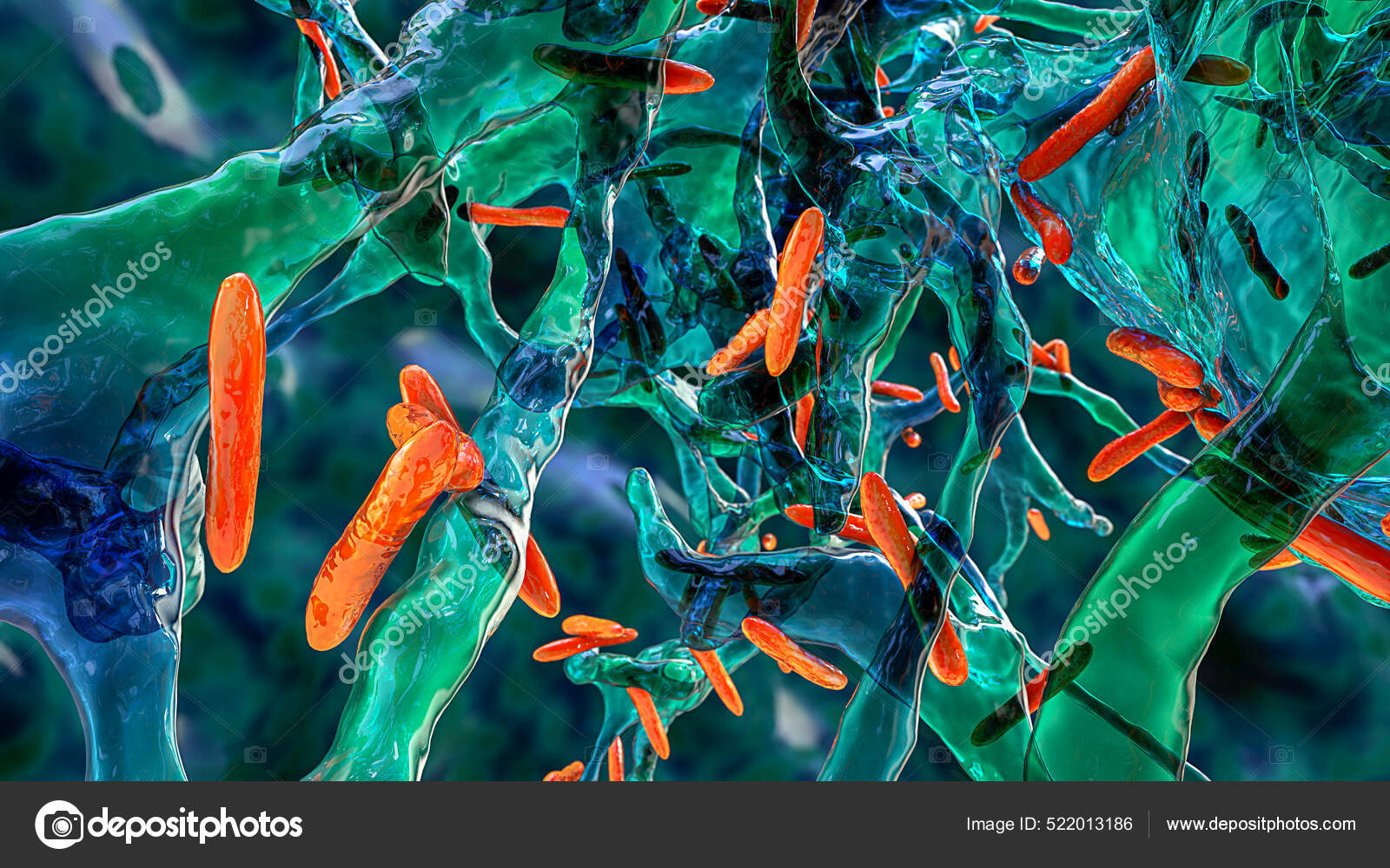 Mycobacterium Tuberculosis Bacteria Agente Causal Tuberculosis ...