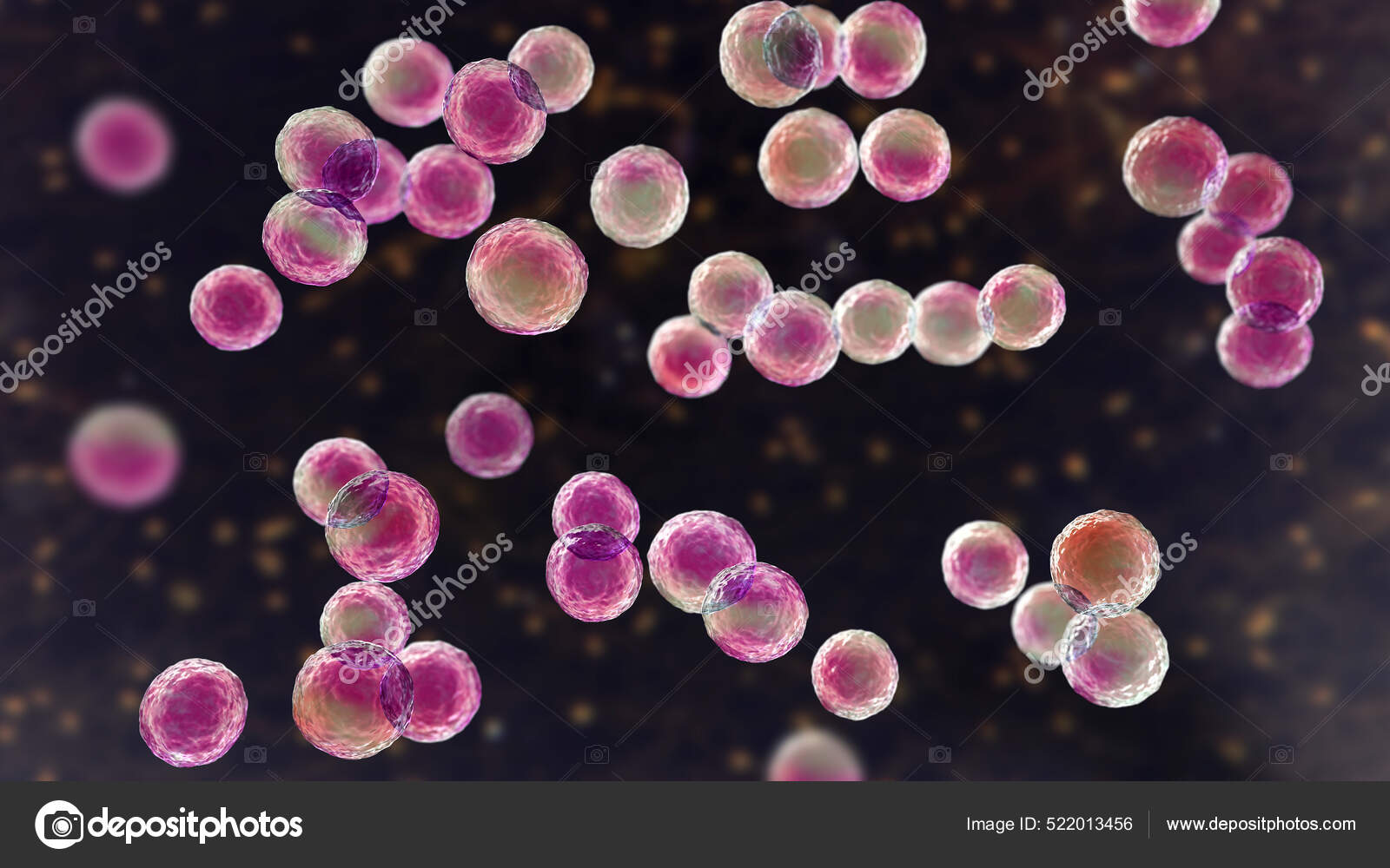 Bacterias Pediococcus Ilustración Cocos Grampositivos Asociados Con ...