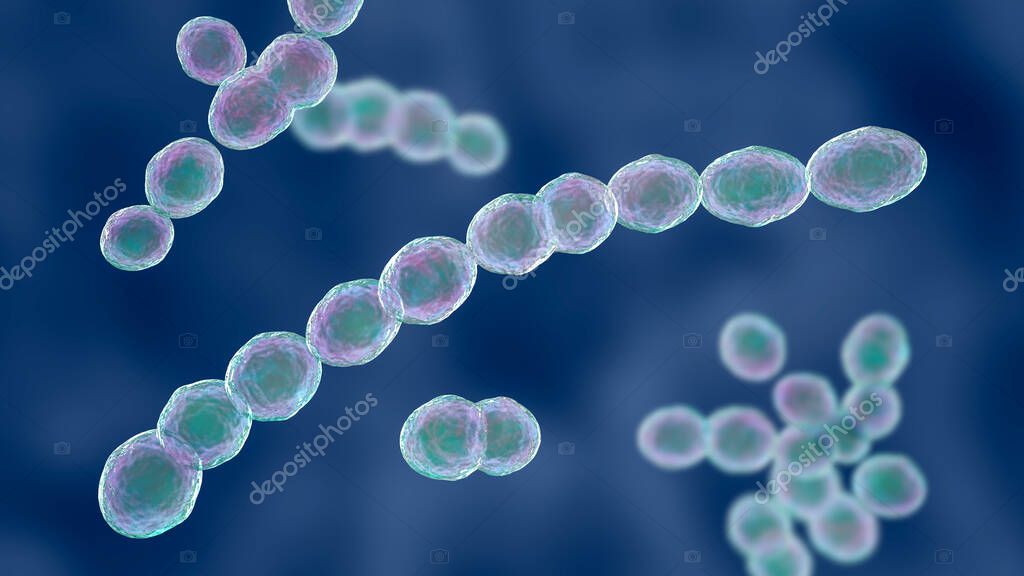 Bacterias leuconostoc, ilustración 3D. Las bacterias del ácido láctico ...