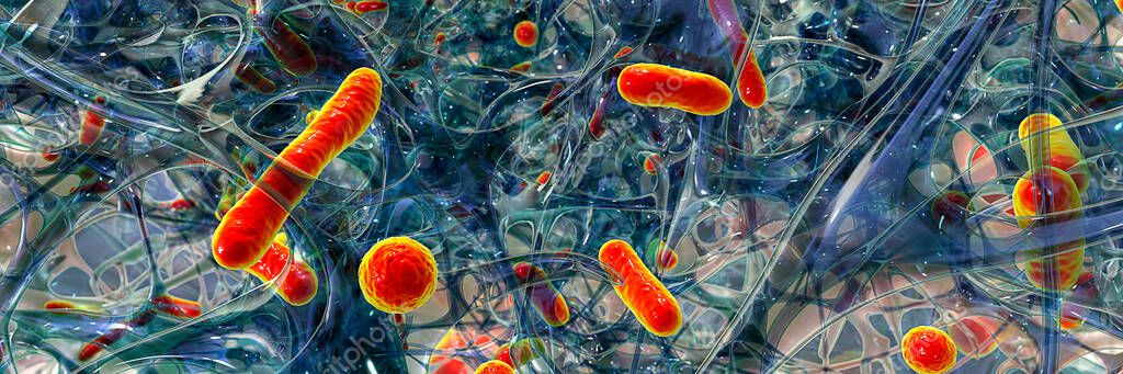 Bacterias resistentes a los antibióticos en un biofilm, ilustración 3D ...