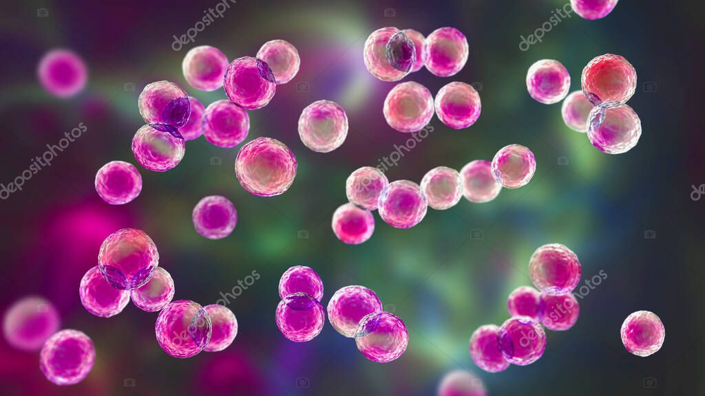 Bacterias Pediococcus, ilustración 3D. Cocos grampositivos, asociados ...