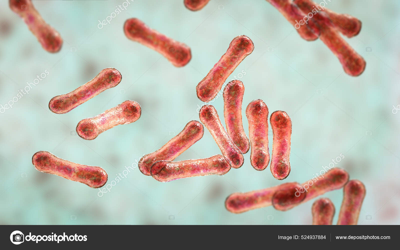 Scientific Image Bacteria Corynebacterium Showing Characteristic ...