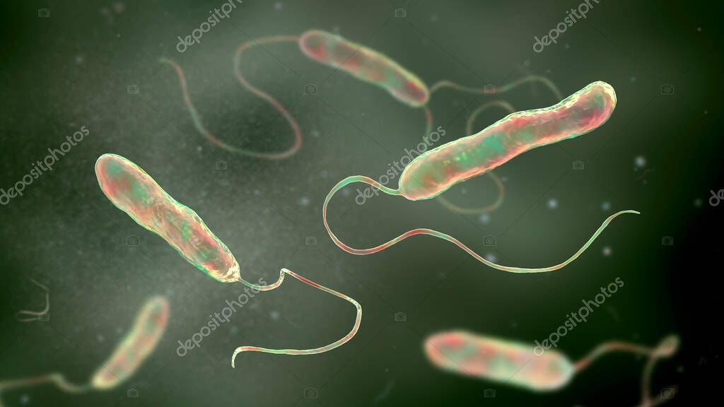 Imagen científica de bacterias flageladas móviles. Bacterium Stenotrophomonas maltophilia ...