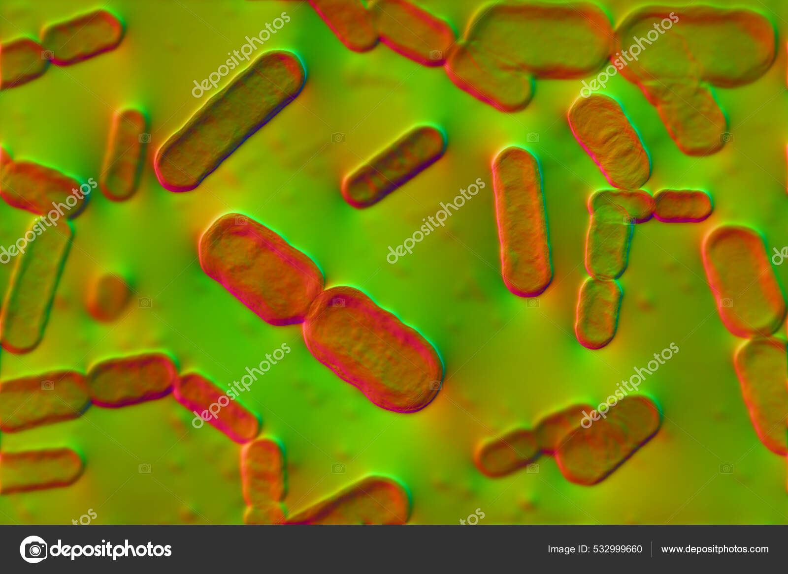 Imagen Científica Bacterias Bacteroides Fragilis Otras Bacteroides ...