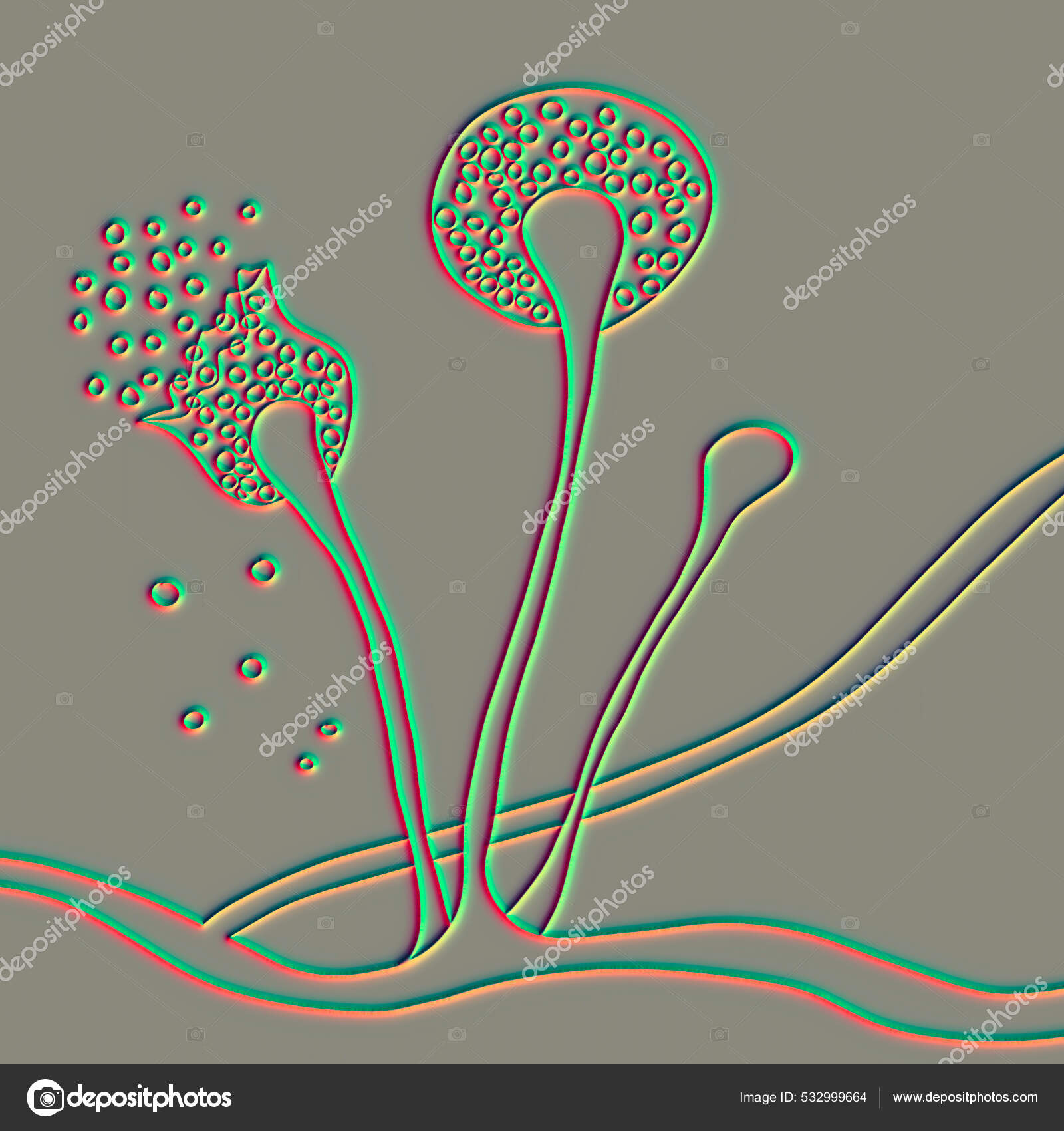 Mucor Mold Black Fungus Bread Mold Fungi Opportunistic Fungi Cause ...
