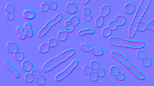 Bacteria Under Light Microscope