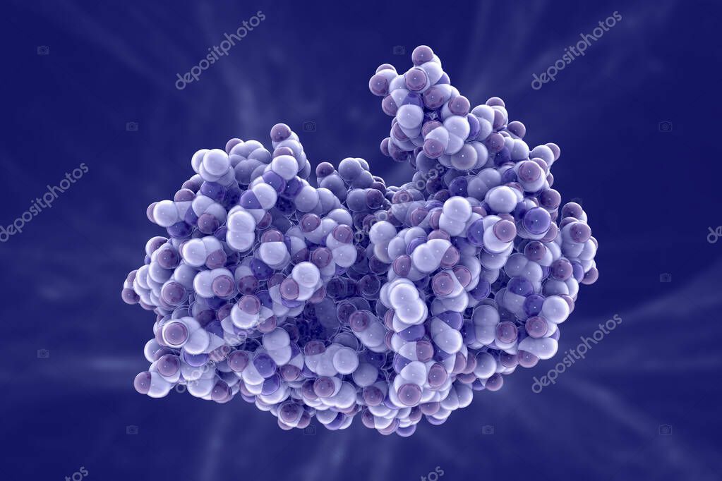 Molécula de la enzima del estómago de la pepsina, ilustración 3D 2024