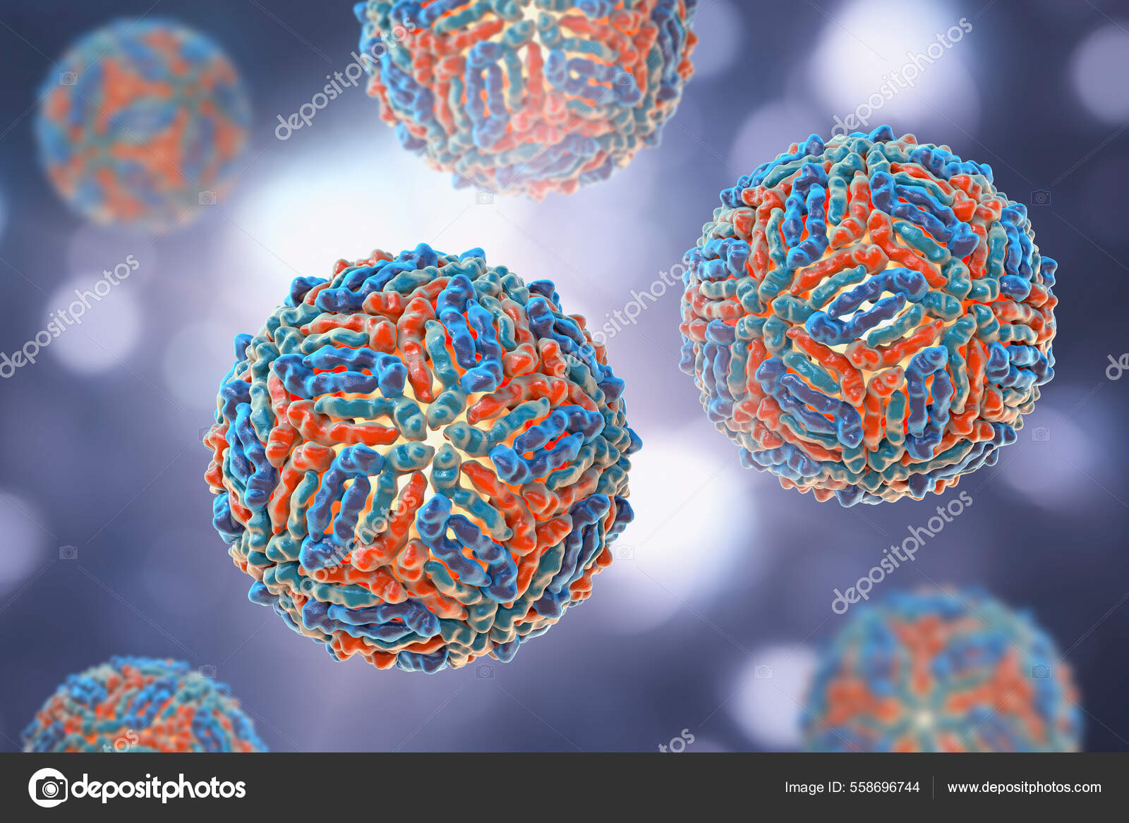 West Nile Virus Structure