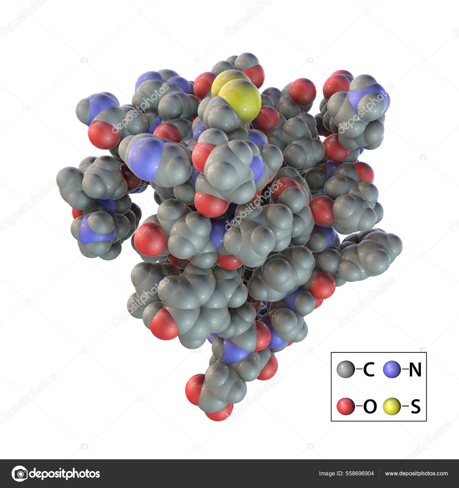 Human Insulin Hormone Molecule Space Filled Model Illustration Drug ...