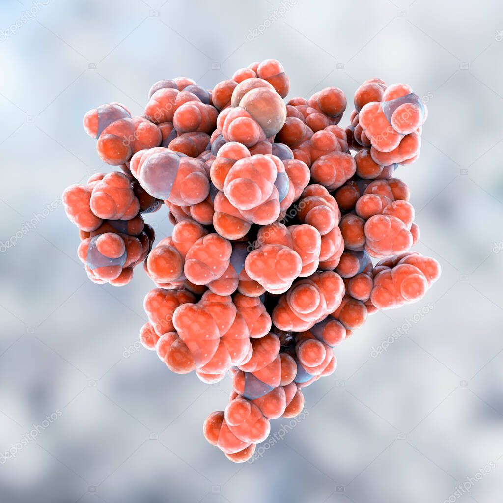 Molécula de hormona insulina humana, modelo lleno de espacio ...