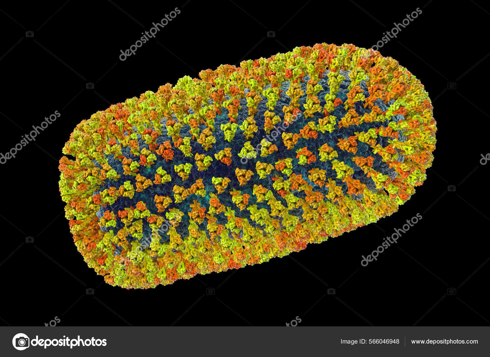Rabies Virus Under Microscope