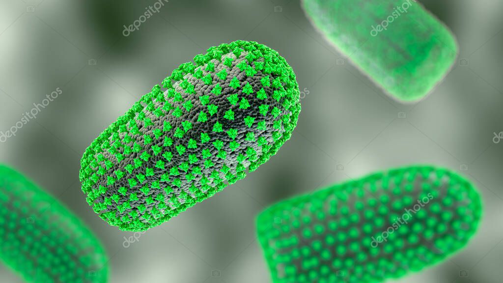 Virus de la rabia, ilustración en 3D. Virus neurotrópico que causa ...