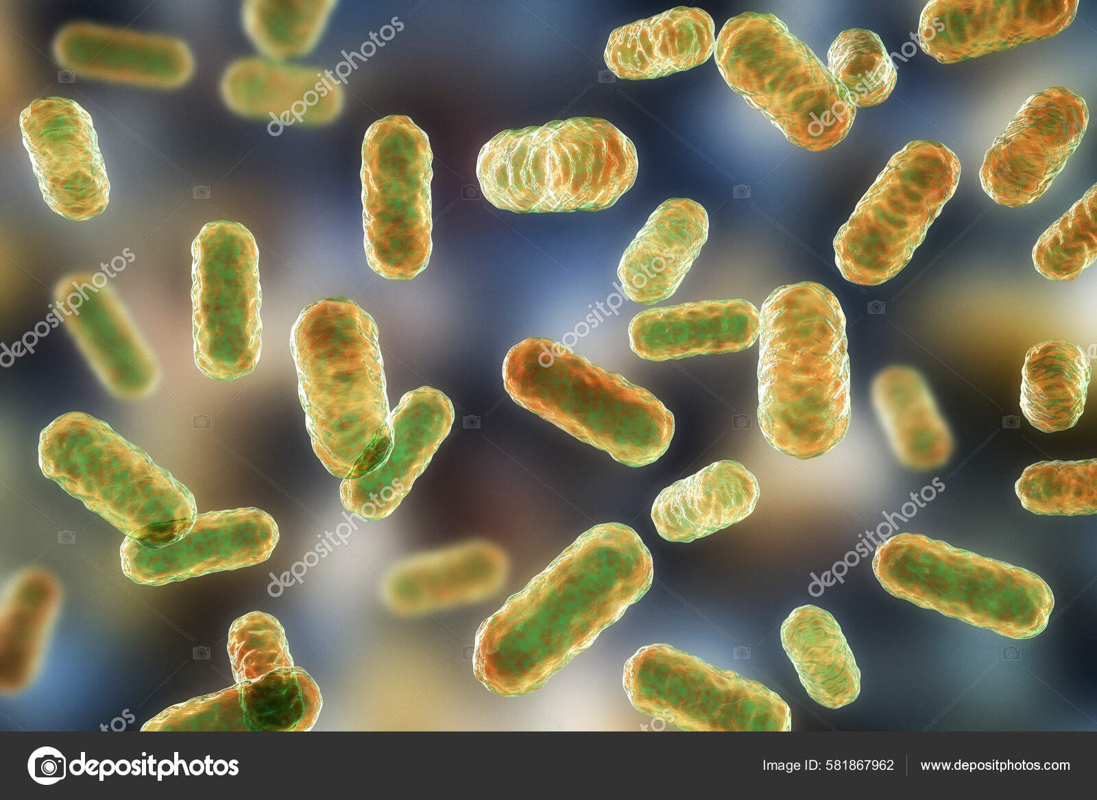 Bacterias Gram Negativas Gram Positive Bacteria " Photographic Print