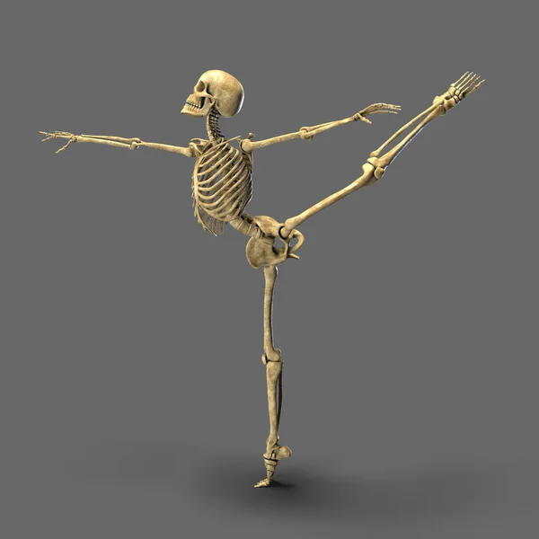 Anatomy Dancing Ballet Illustration Showing Skeletal Activity Ballet ...