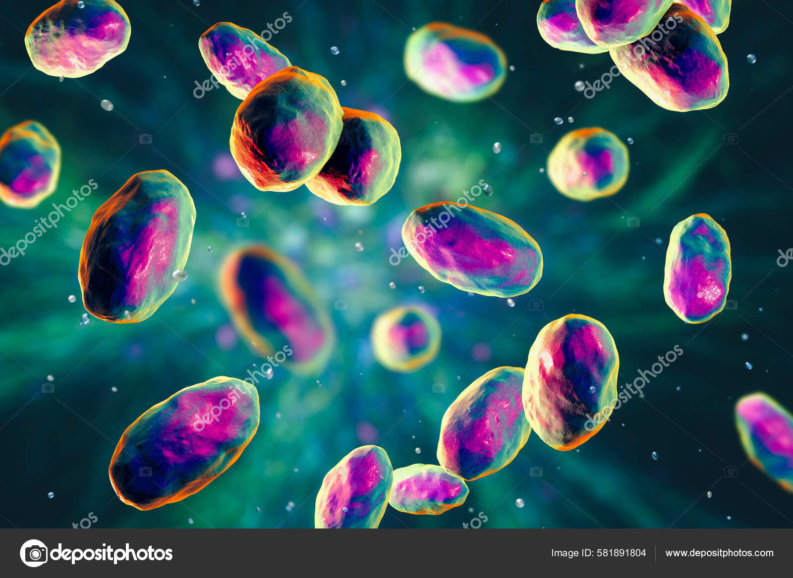 Yersinia Pseudotuberculosis Bacteria Illustration Gram Negative ...