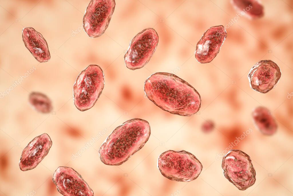 Yersinia enterocolitica bacteria, ilustración 3D. Bacterias ...