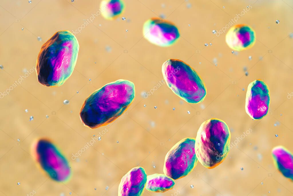 Yersinia pseudotuberculosis bacteria, ilustración 3D. Bacterias ...