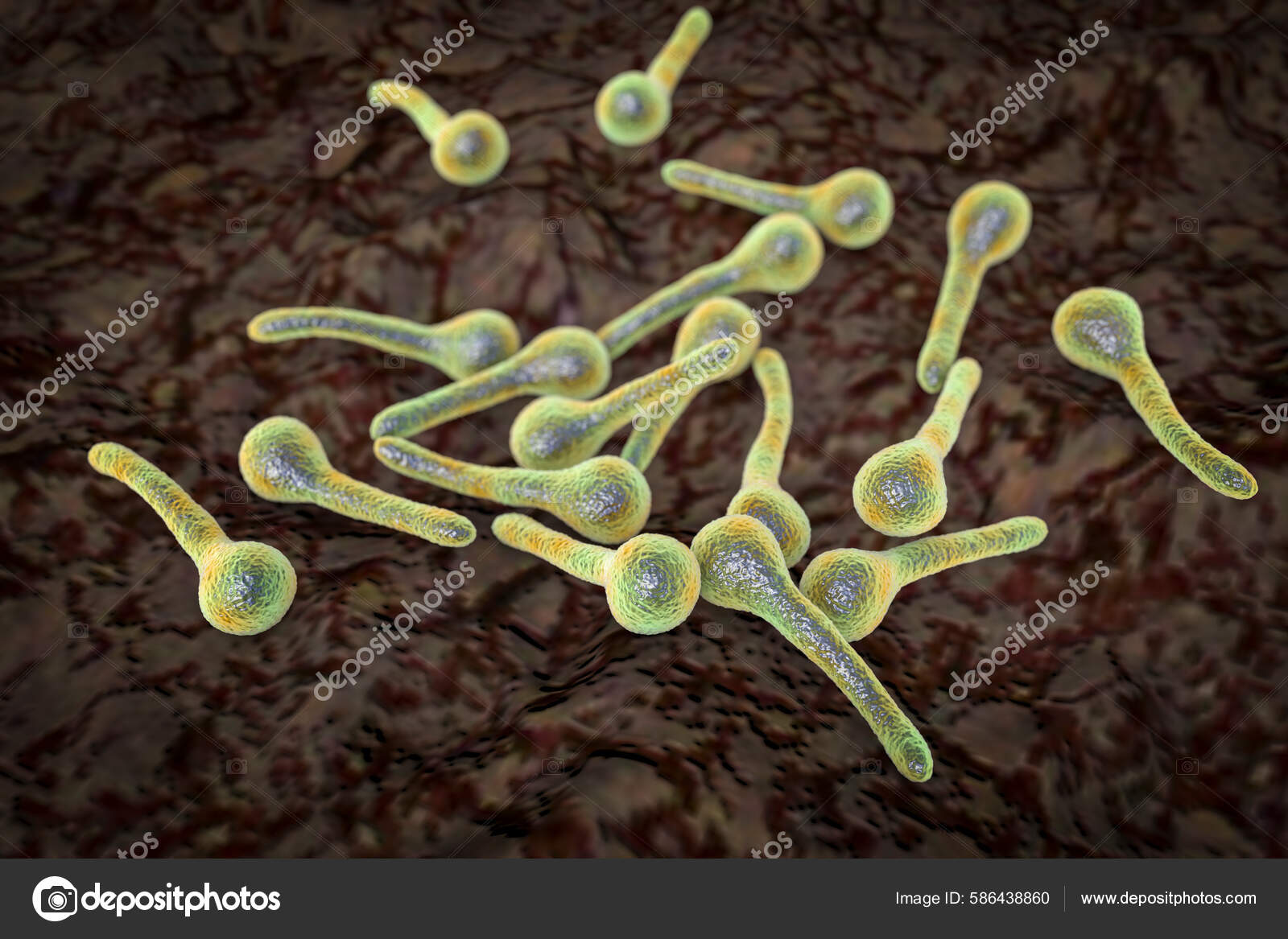Clostridium Tetani Bacteria Causative Agent Tetanus Illustration Stock ...