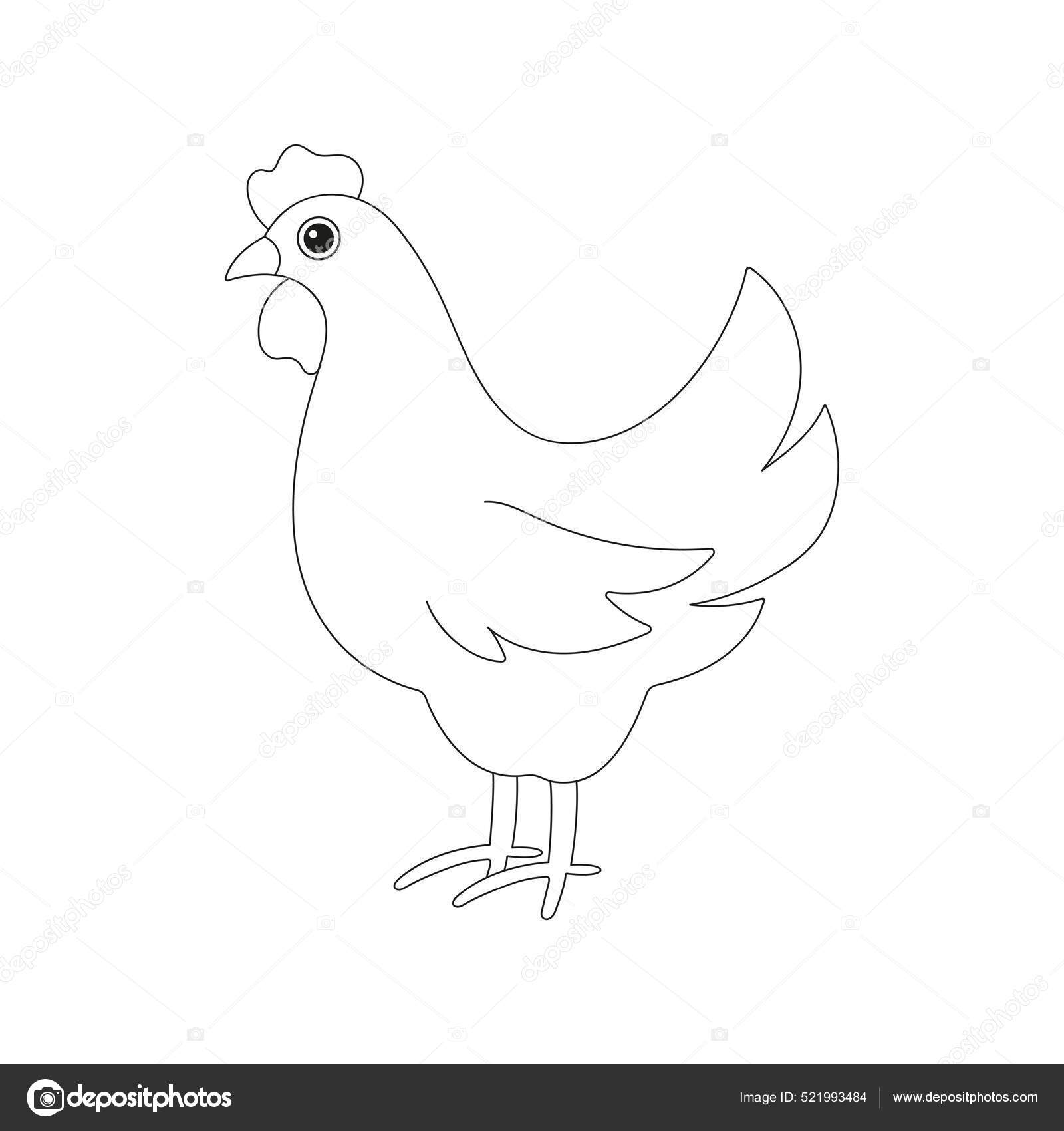 Hen Vector Illustration Coloring Book Children Outline Isolated ...