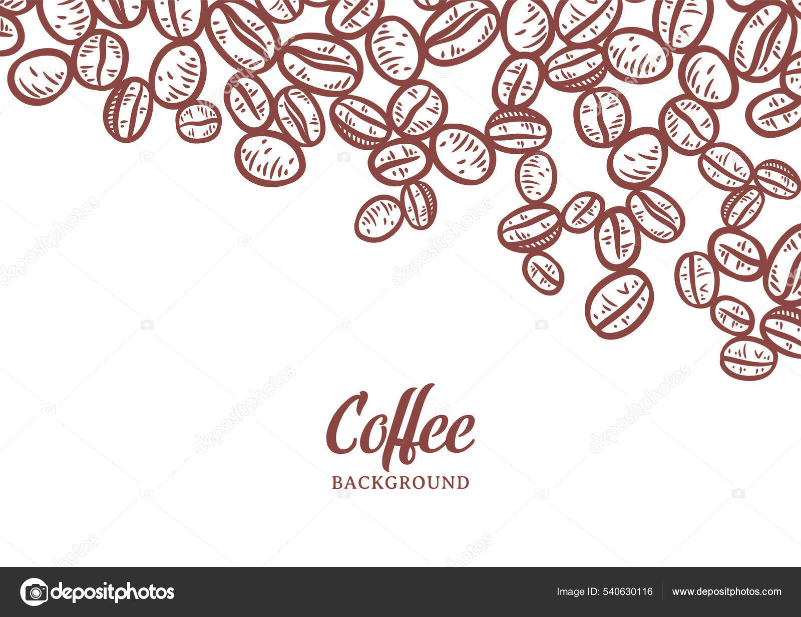 Hand Drawn Background Coffee Beans Vector Coffee Background Design ...