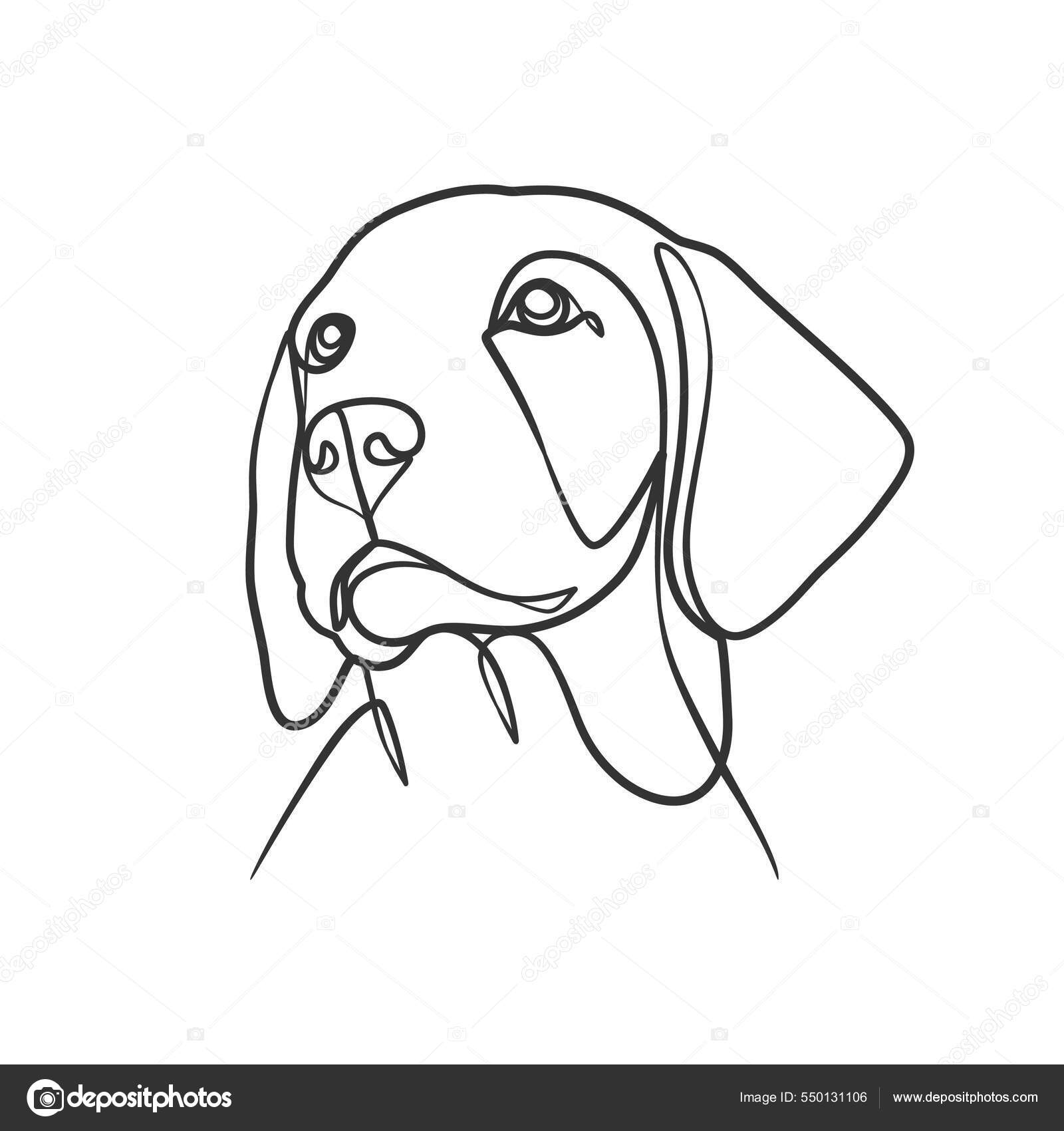 Schets Van Een Hondengezicht