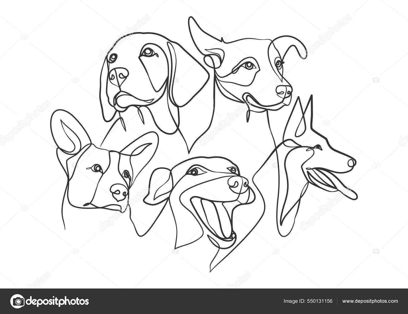 Schets Van Een Hondengezicht