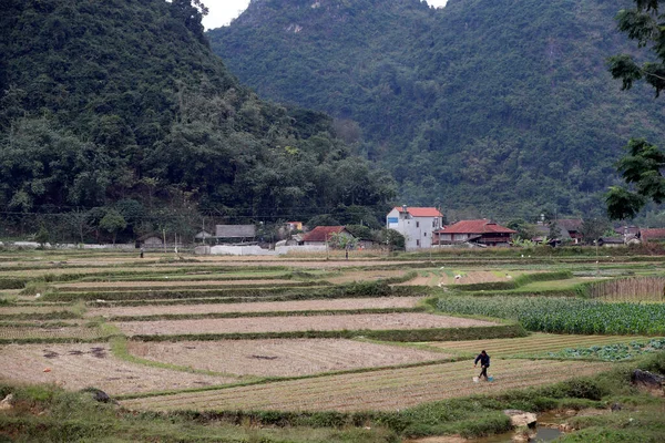 Zonas rurales de vietnam Stock Photos, Royalty Free Zonas rurales de ...