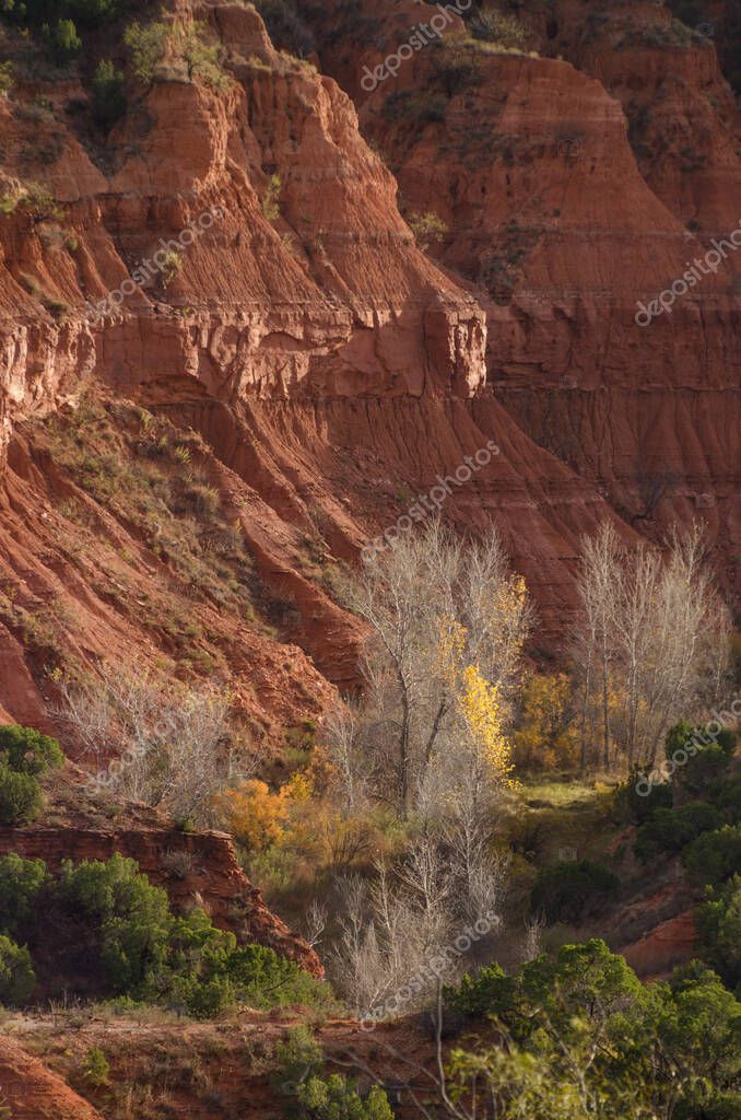 La empinada ladera de la roca lleva el agua a los árboles en el fondo ...