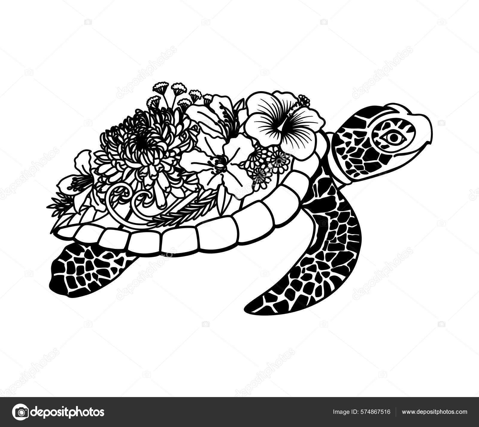 Baby Turtle Drawing