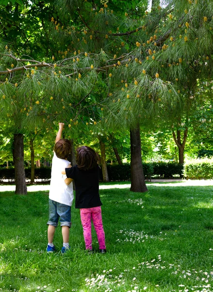 Children playing tree Stock Photos, Royalty Free Children playing tree ...