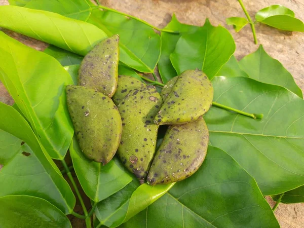 Fruta de betel Stock Photos, Royalty Free Fruta de betel Images ...