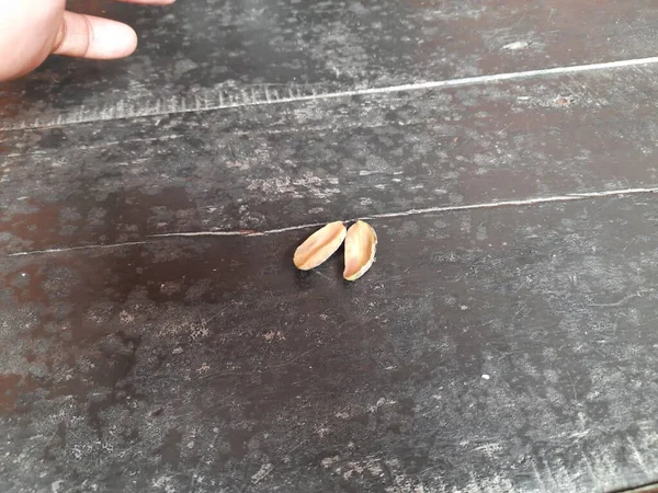 Tabela brutaStock-fotos, royaltyfrie Tabela bruta billeder | Depositphotos