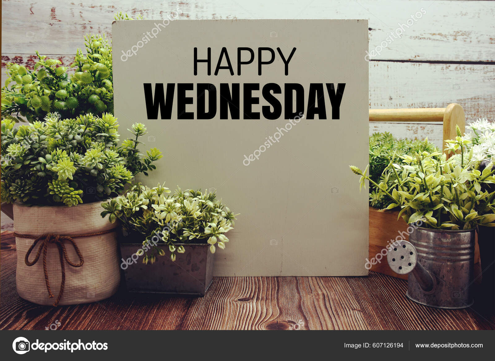 Happy Wednesday Flowers