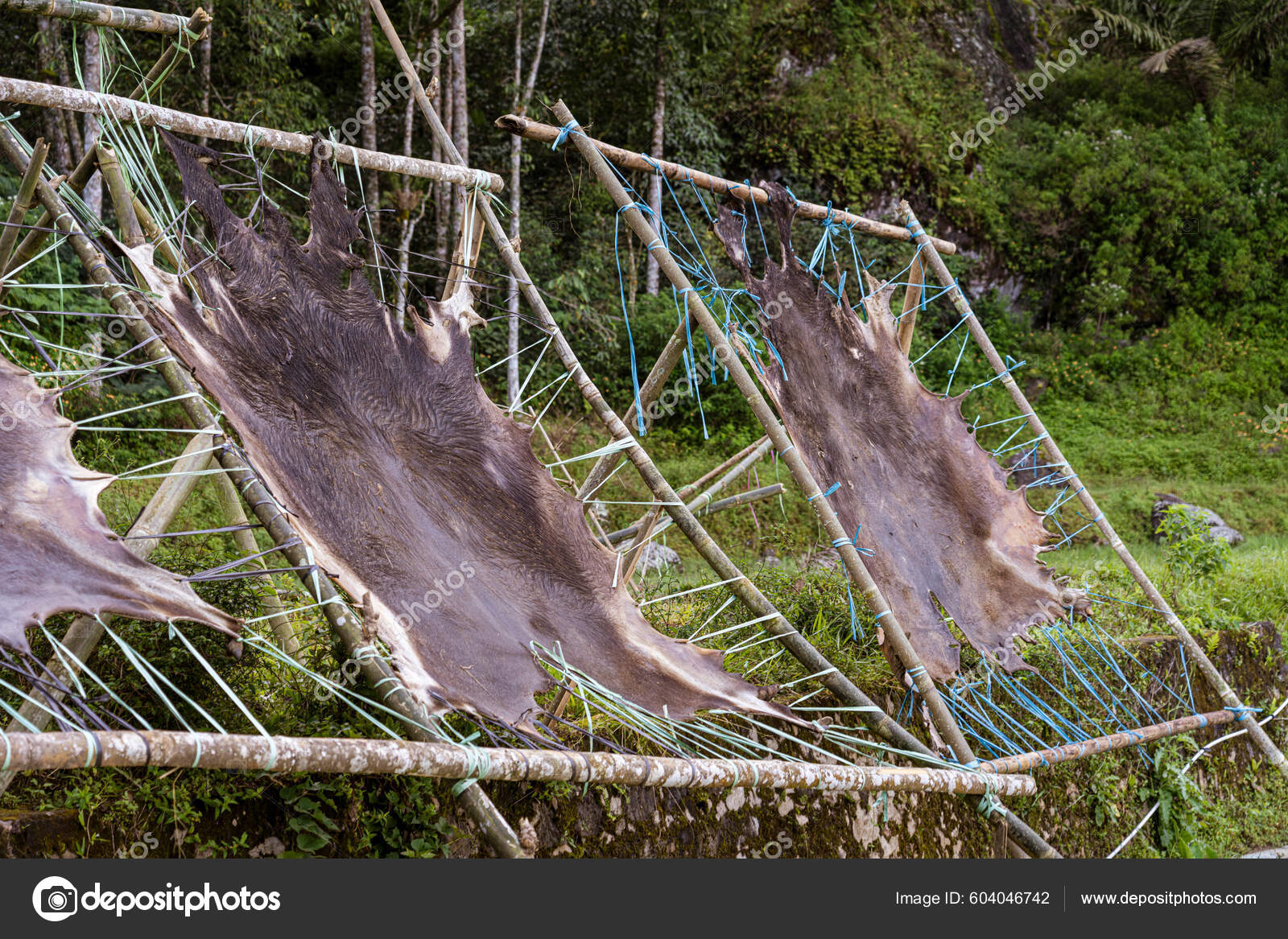 Hide Stretching Frame