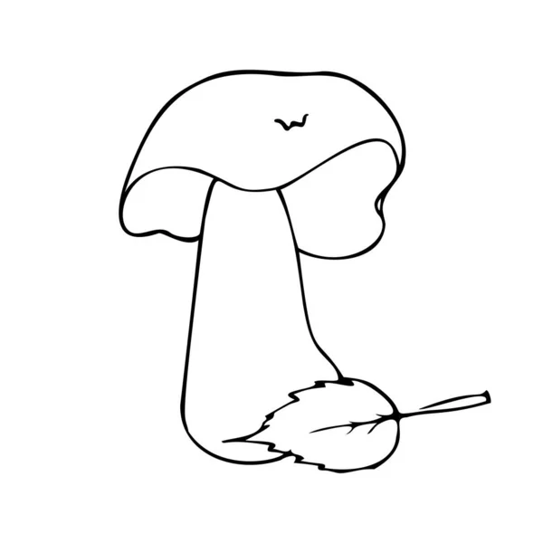 Gomba rajz Stock Photos, Royalty Free Gomba rajz Images | Depositphotos