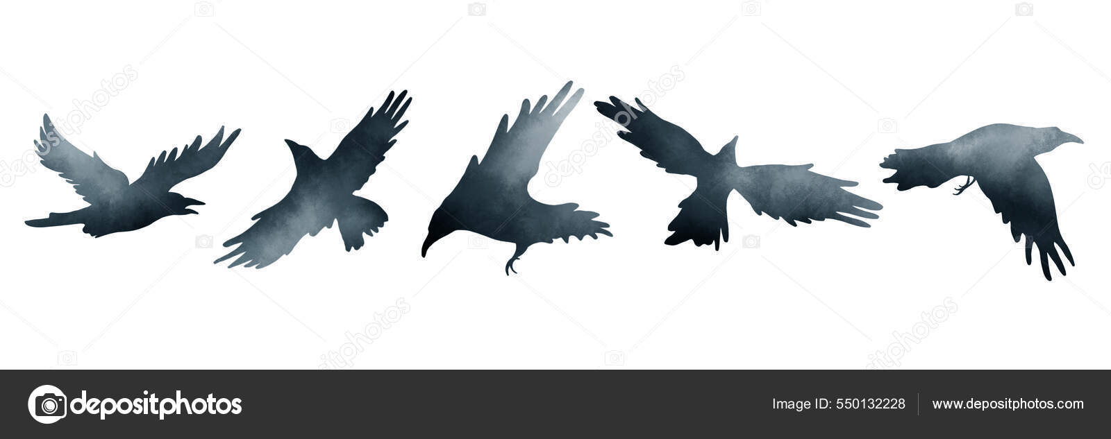 Collection of different birds position. Watercolor hand drawn set with ...