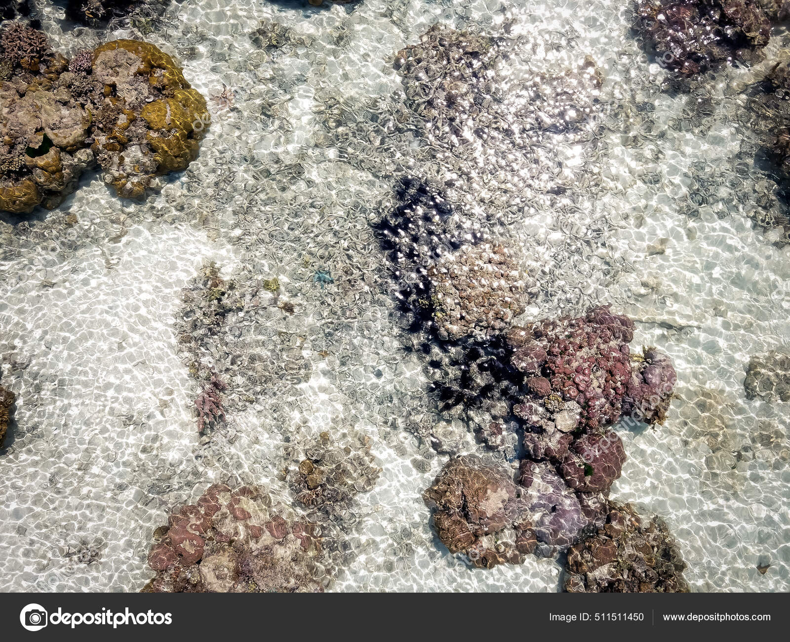 Karang Karang Saat Pasang Rendah Pulau Dekat Pulau Bum Bum — Foto Stok ...