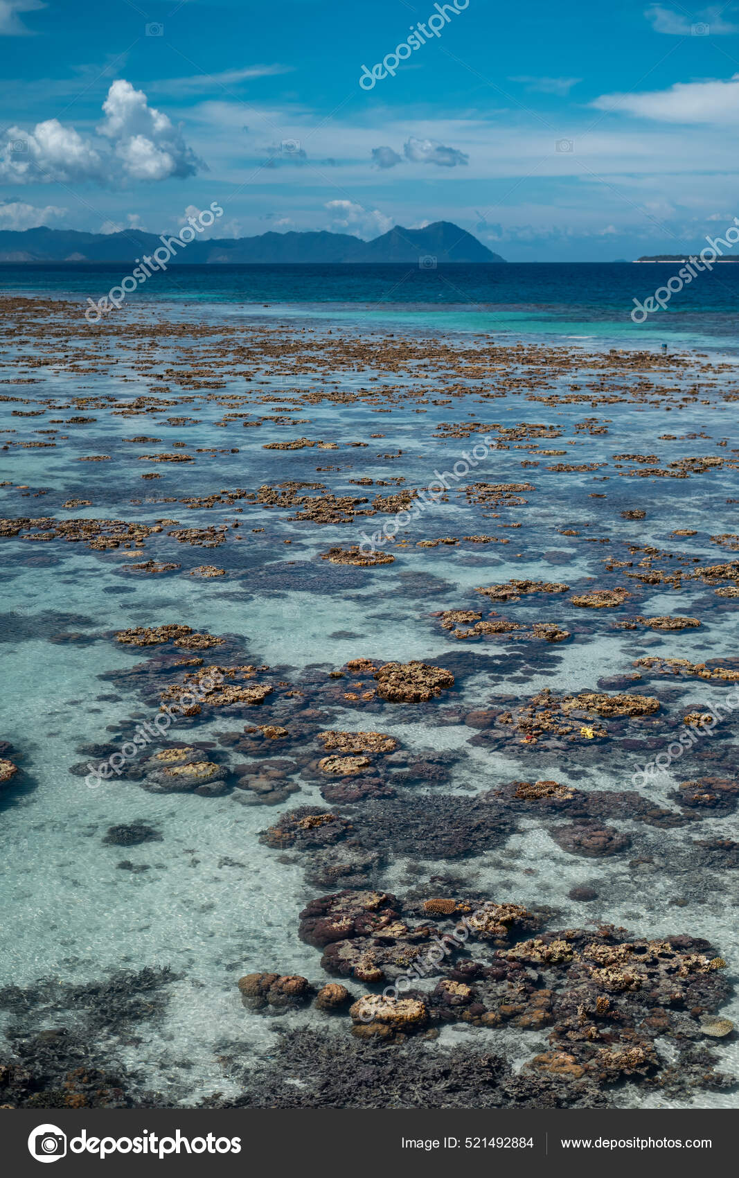 Bright Scenic View Rough Coral Reef Exposed Low Tide Empty Stock Photo ...