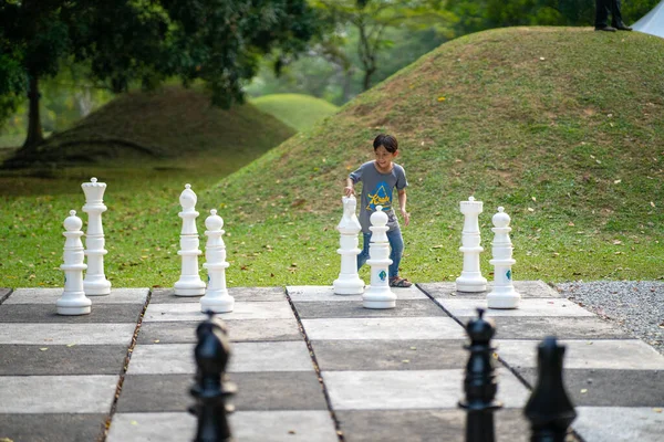 Chess and nature Stock Photos, Royalty Free Chess and nature Images ...