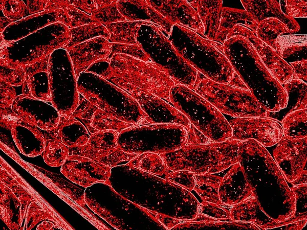 close up of 3d microscopic bacteria, 3D rendering Bacteria closeup ...