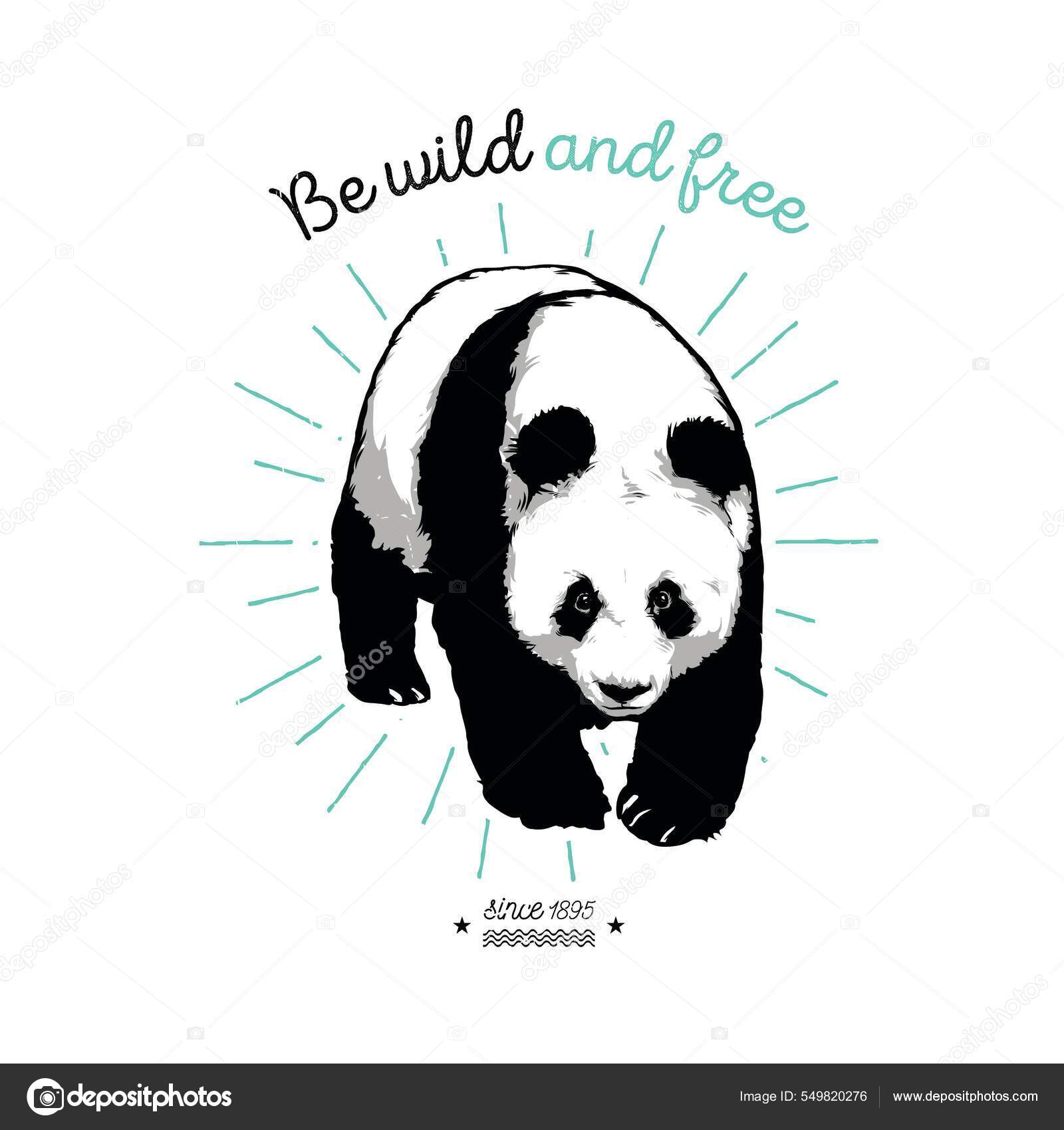 Diagrama Do Panda Gigante