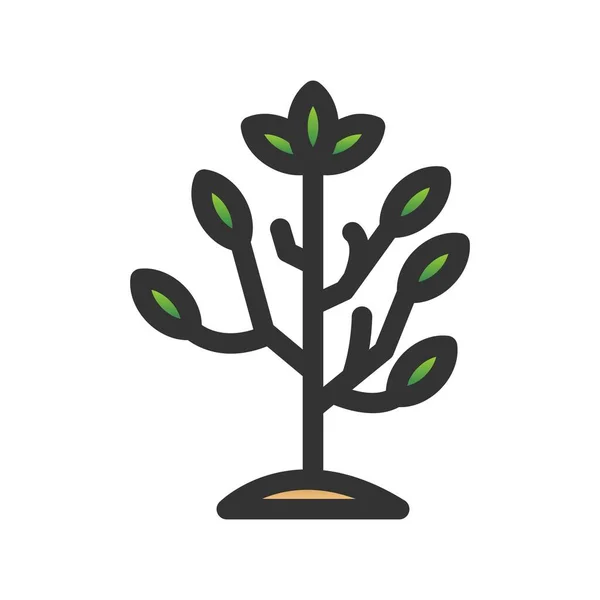 21,336,939 Ficus logo Vector Images | Depositphotos