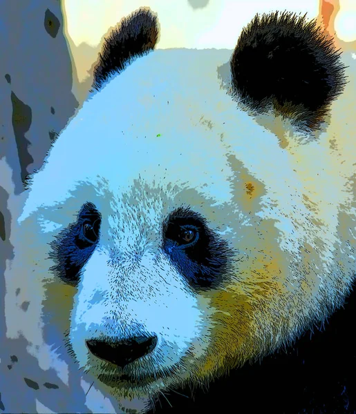 Panda perfil Stock Photos, Royalty Free Panda perfil Images | Depositphotos