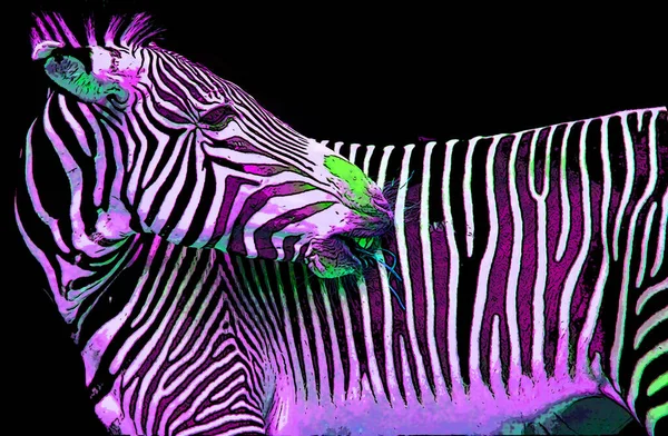 Neon Rainbow Zebra Backgrounds