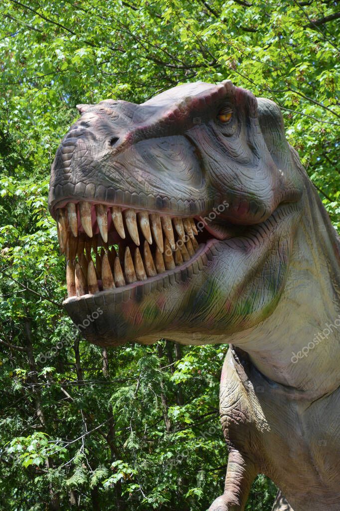 Tyrannosaurus rex significa "rey lagarto tirano" en latín, es uno de ...