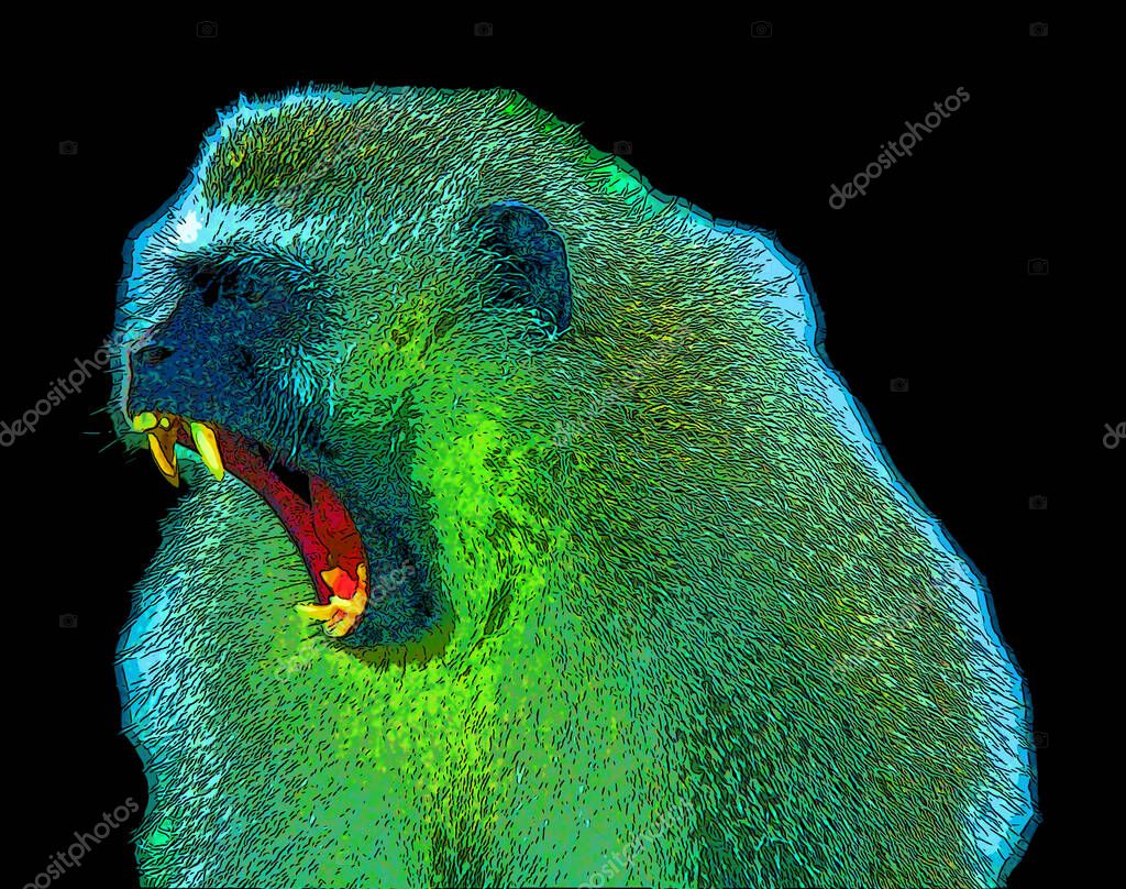 Los macacos constituyen un género (Macaca) de monos gregarios del Viejo ...