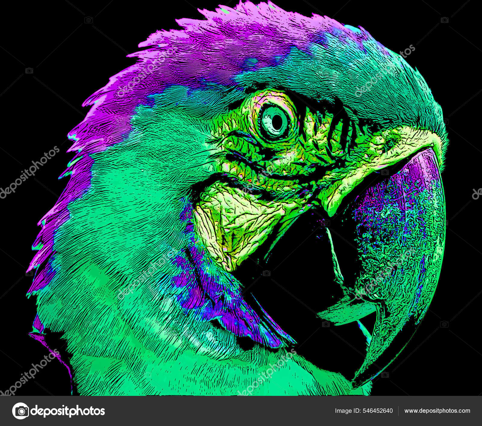 Spix's Macaw Cyanopsitta Spixii Little Blue Macaw Macaw Species Endemic ...